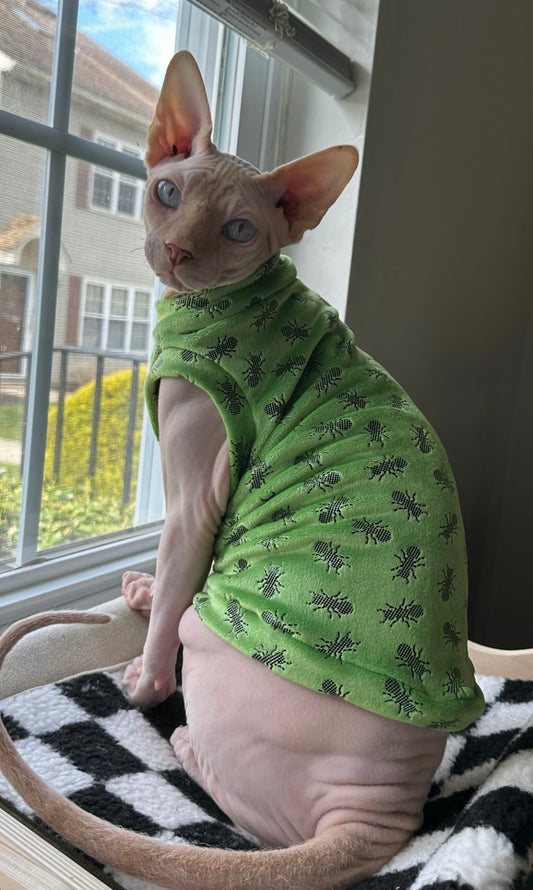 Mad Sphynx Design